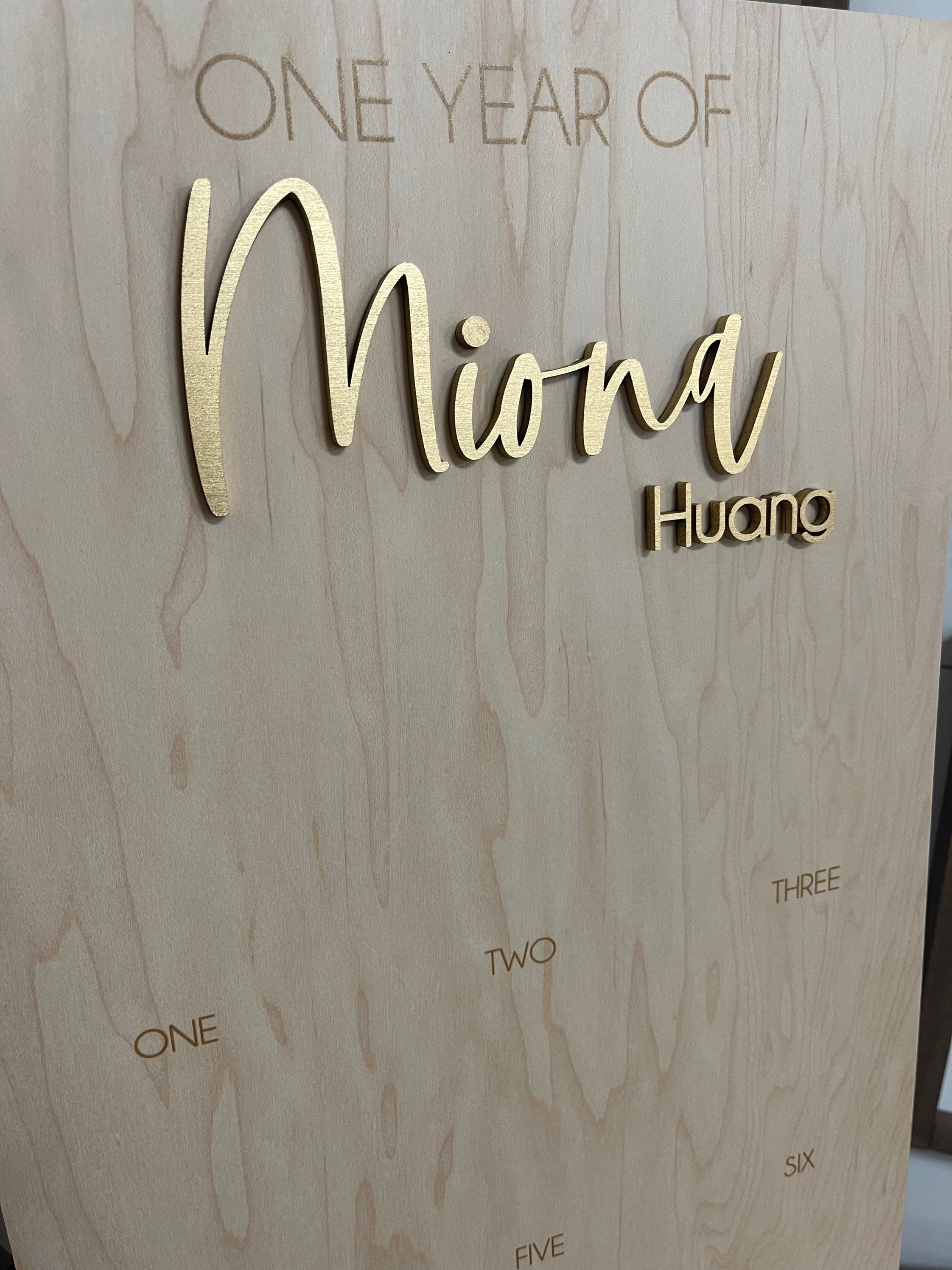 One Year of Baby First Birthday Sign First Birthday | Etsy