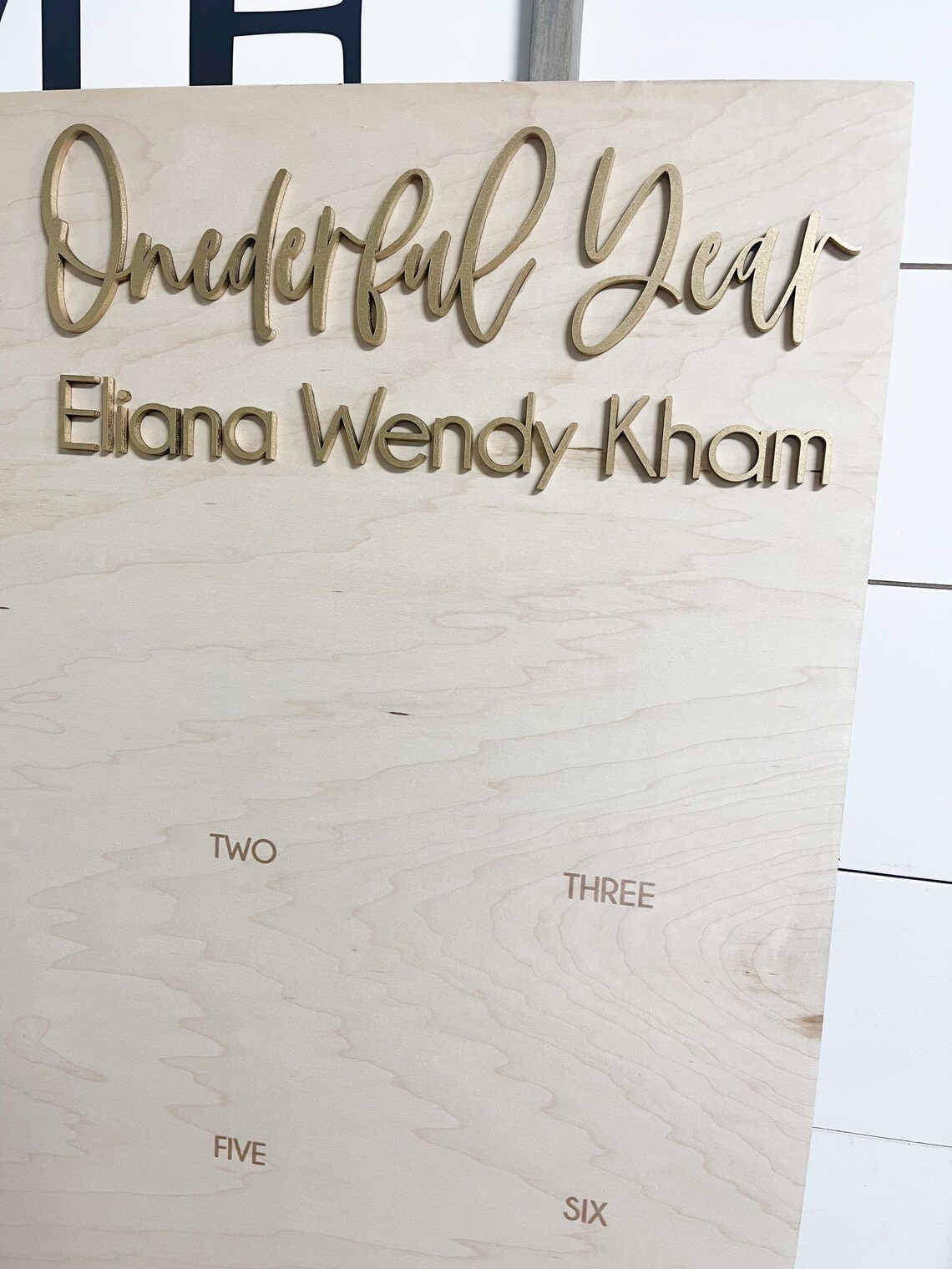 One Year of Baby First Birthday Sign First Birthday | Etsy