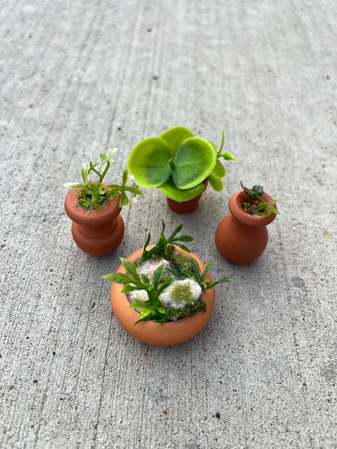 Miniature Plants, Doll, 1:6 Scale Miniature 1/12 Scale - Etsy