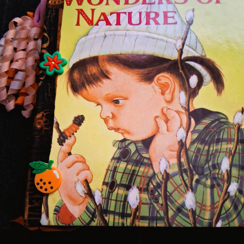 Little Golden Book Diary - Etsy