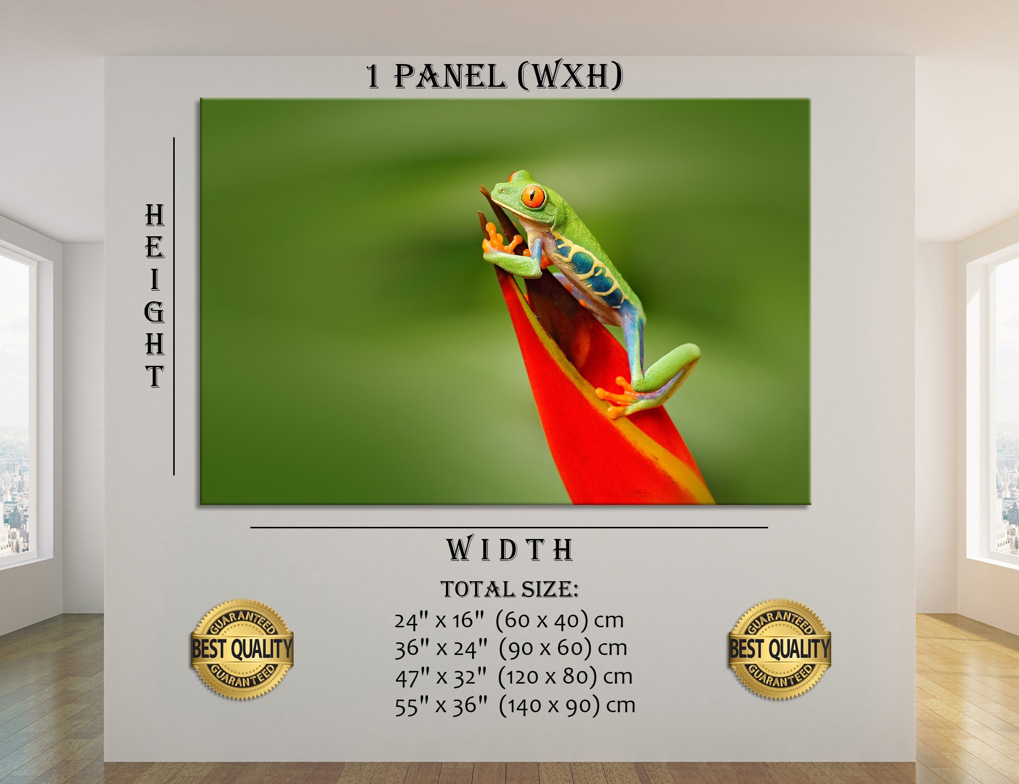 Red-Eyed Tree Frog Print Set Frog Canvas Wall Art Frog Wall | Etsy