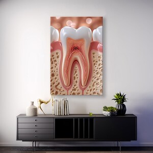 Dental Anatomy Canvas Print - Structure of the Tooth Wall Poster ...
