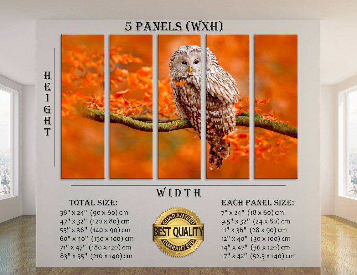 Colorful Photo of an Owl Wall Art Owl in the Wild Wall Decor | Etsy