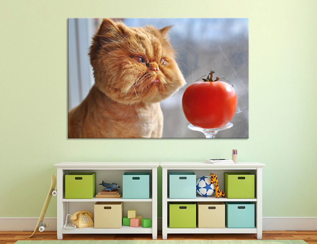 Red Cat Profile Canvas Art Cat Wall Art Animal Canvas Print Cat Close ...