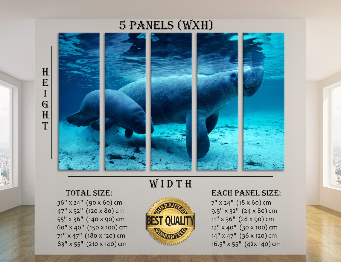 Manatee and Baby Pictures Manatee Print Manatee Poster Manatee | Etsy