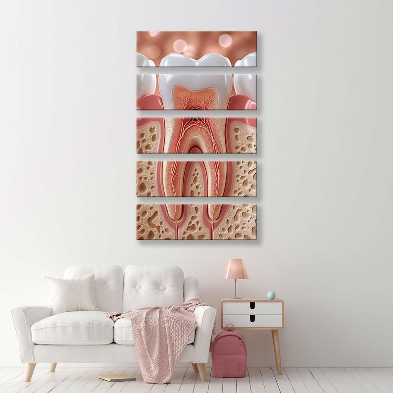 Dental Anatomy Canvas Print - Structure of the Tooth Wall Poster ...