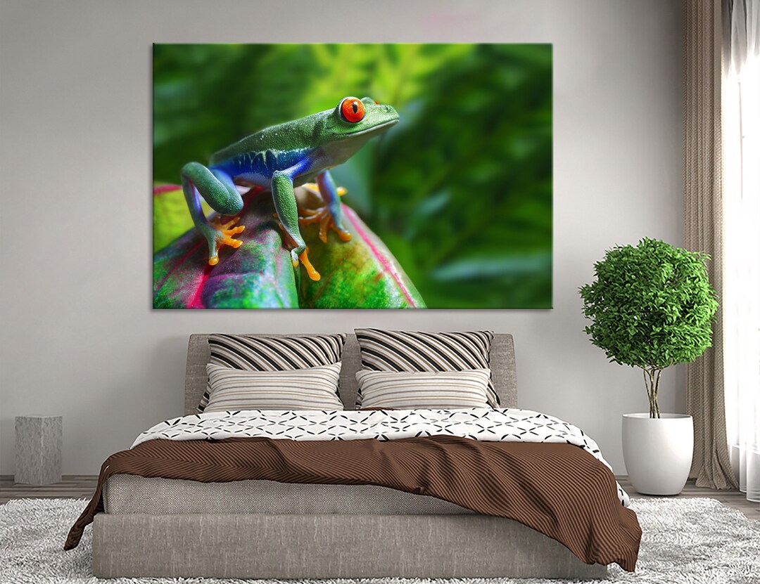 A Colorful Red-eyed Tree Frog Print Art Frog Canvas Wall Art Frog Wall ...