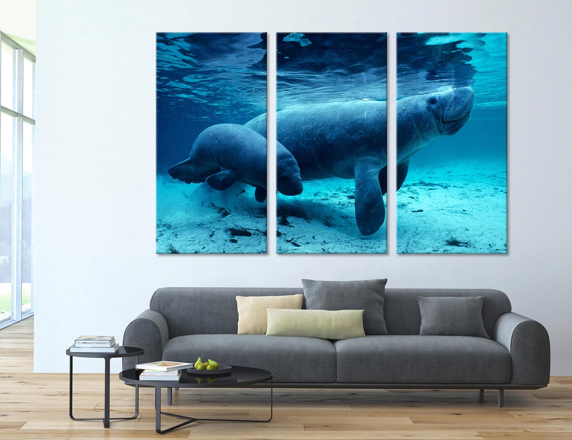Manatee and Baby Pictures Manatee Print Manatee Poster Manatee - Etsy