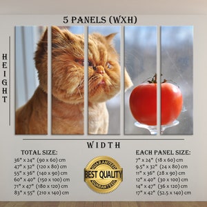 Red Cat Profile Canvas Art Cat Wall Art Animal Canvas Print Cat Close ...