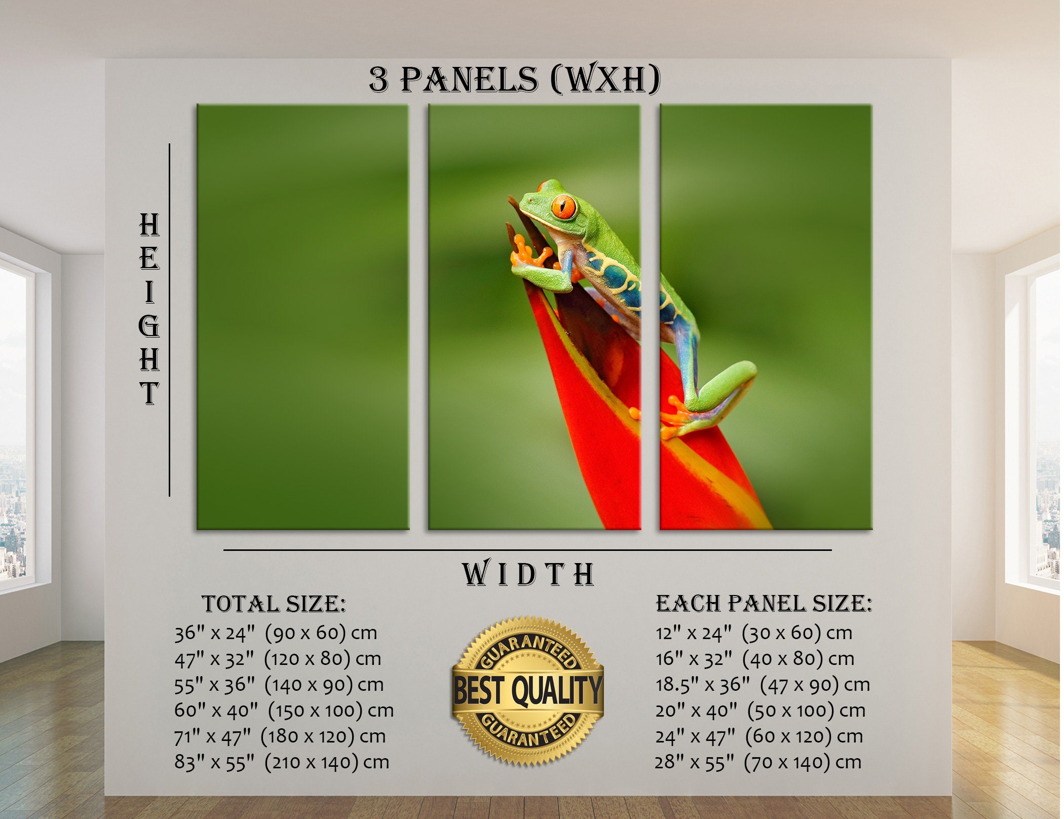 Red-Eyed Tree Frog Print Set Frog Canvas Wall Art Frog Wall | Etsy