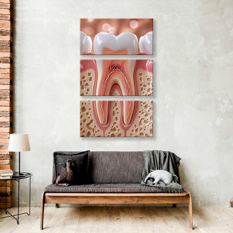Dental Anatomy Canvas Print - Structure of the Tooth Wall Poster ...