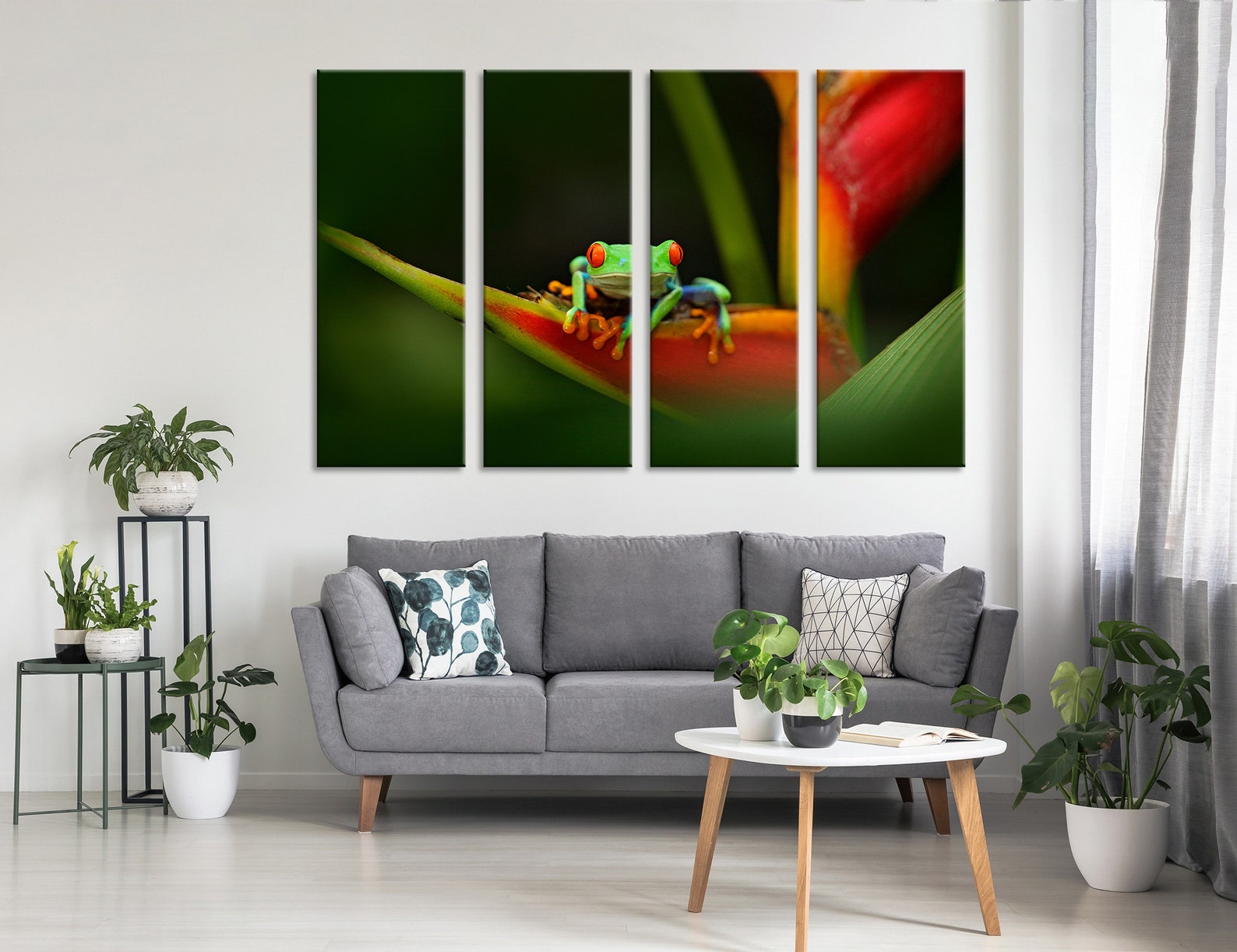 Red-eyed Tree Frog Canvas Exotic Animal Canvas Frog Print Frog - Etsy