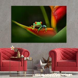 Red-eyed Tree Frog Canvas Exotic Animal Canvas Frog Print Frog - Etsy