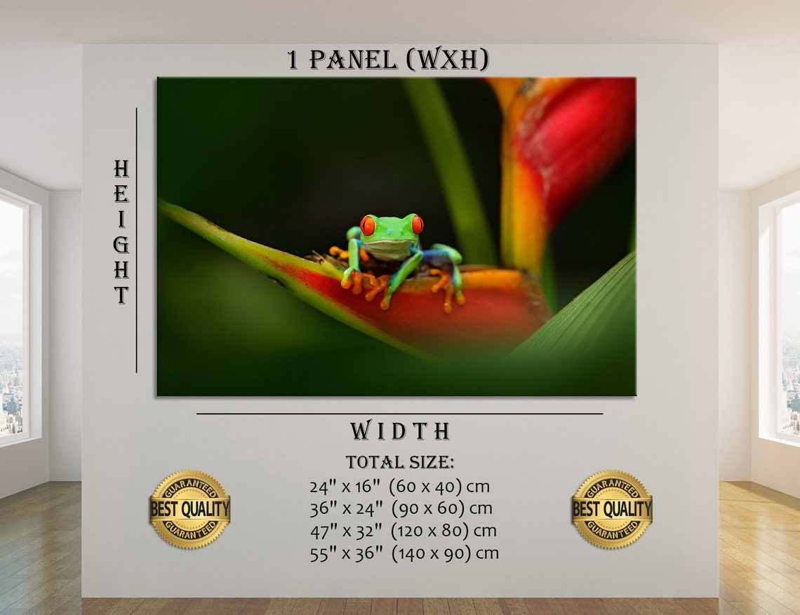 Red-eyed Tree Frog Canvas Exotic Animal Canvas Frog Print Frog - Etsy