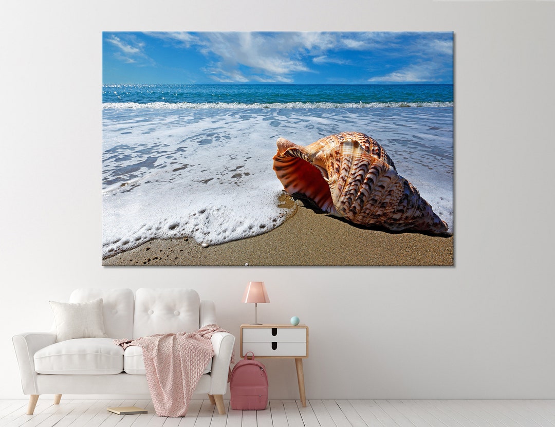 Shell Canvas Shell Poster Shell Photo Shell Print Shell Wall Art Shell ...