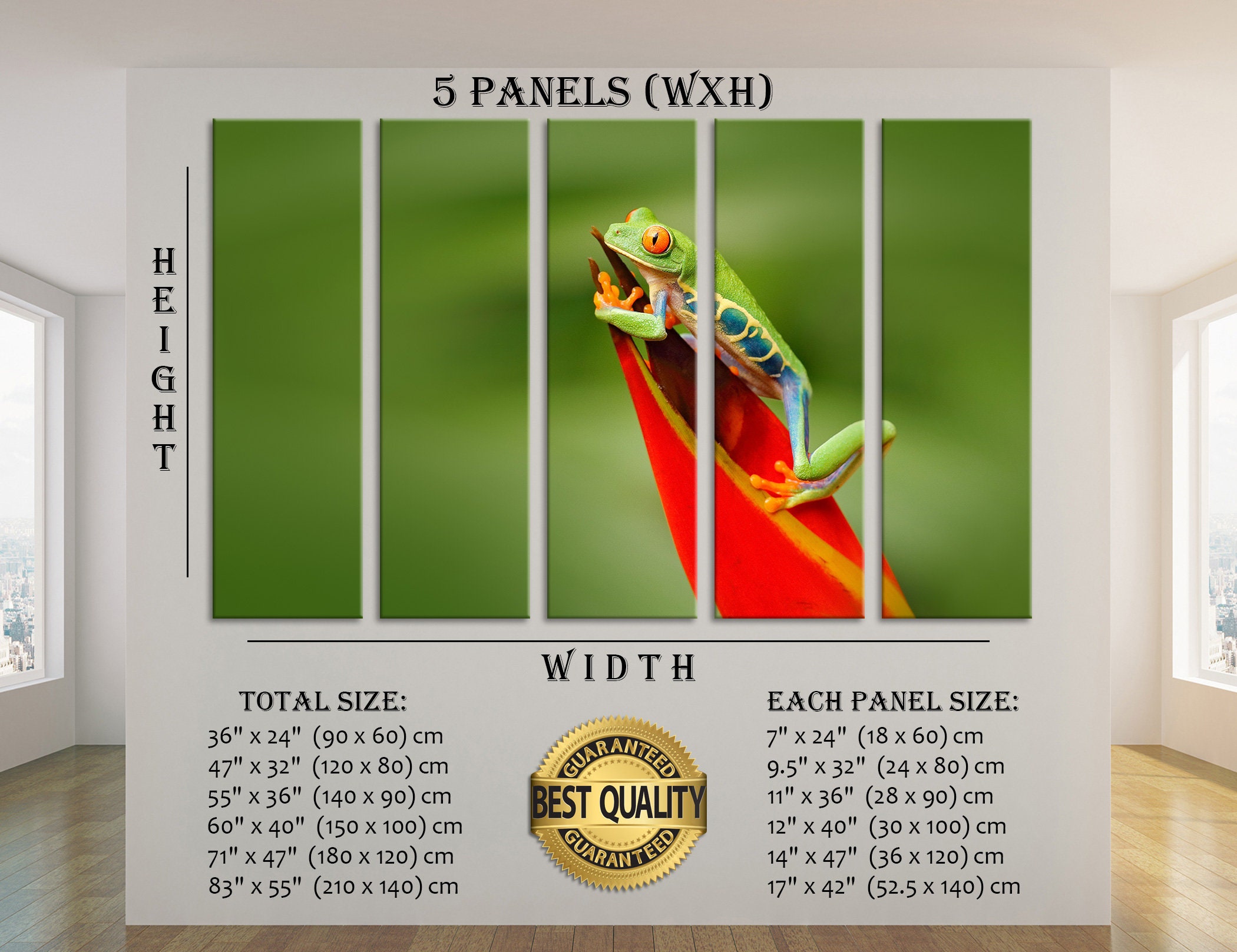 Red-Eyed Tree Frog Print Set Frog Canvas Wall Art Frog Wall | Etsy