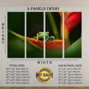 Red-eyed Tree Frog Canvas Exotic Animal Canvas Frog Print Frog - Etsy