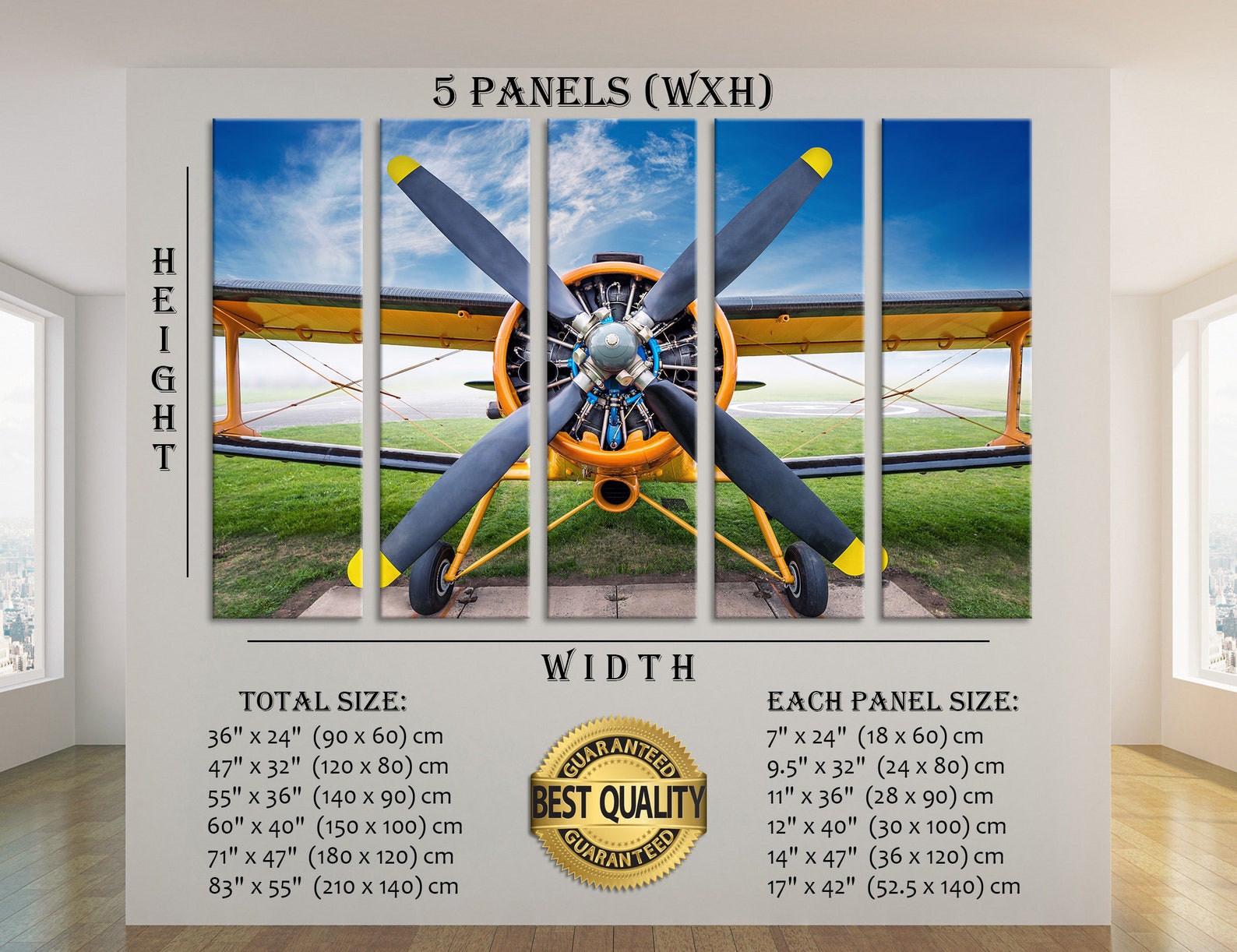 Front View of an Historic Biplane Wall Art Biplane Artwork - Etsy
