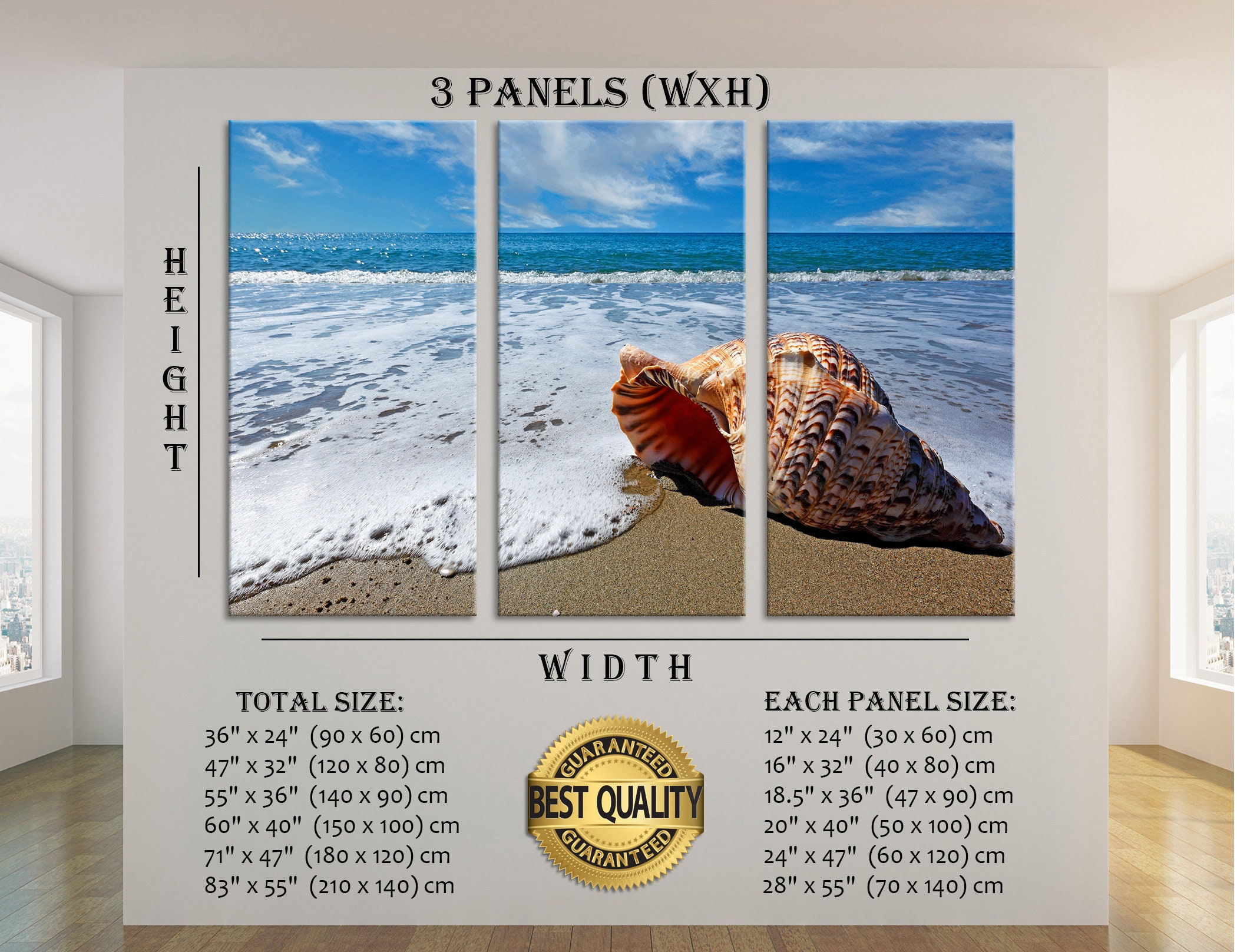 Shell Canvas Shell Poster Shell Photo Shell Print Shell Wall - Etsy