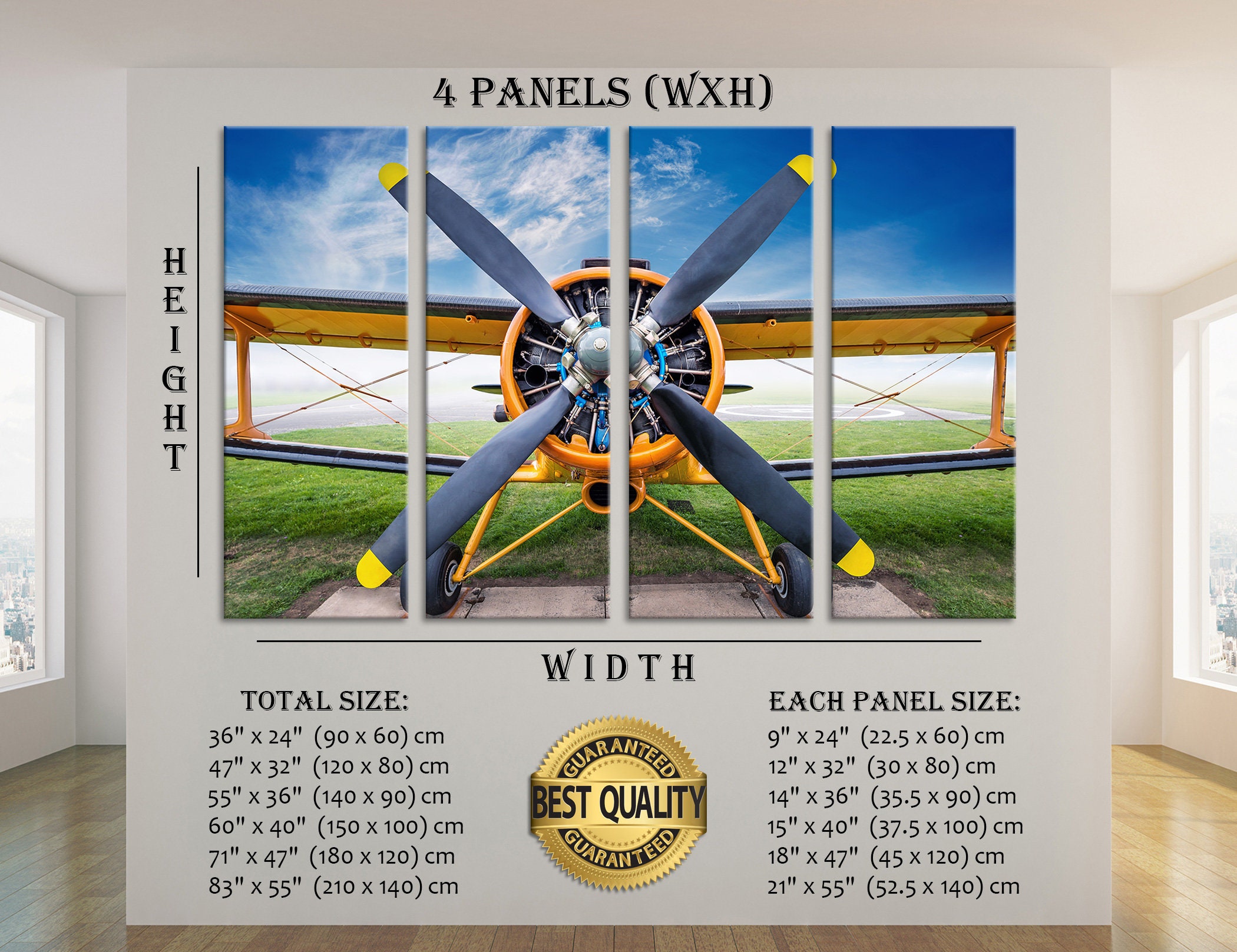 Front View of an Historic Biplane Wall Art Biplane Artwork - Etsy