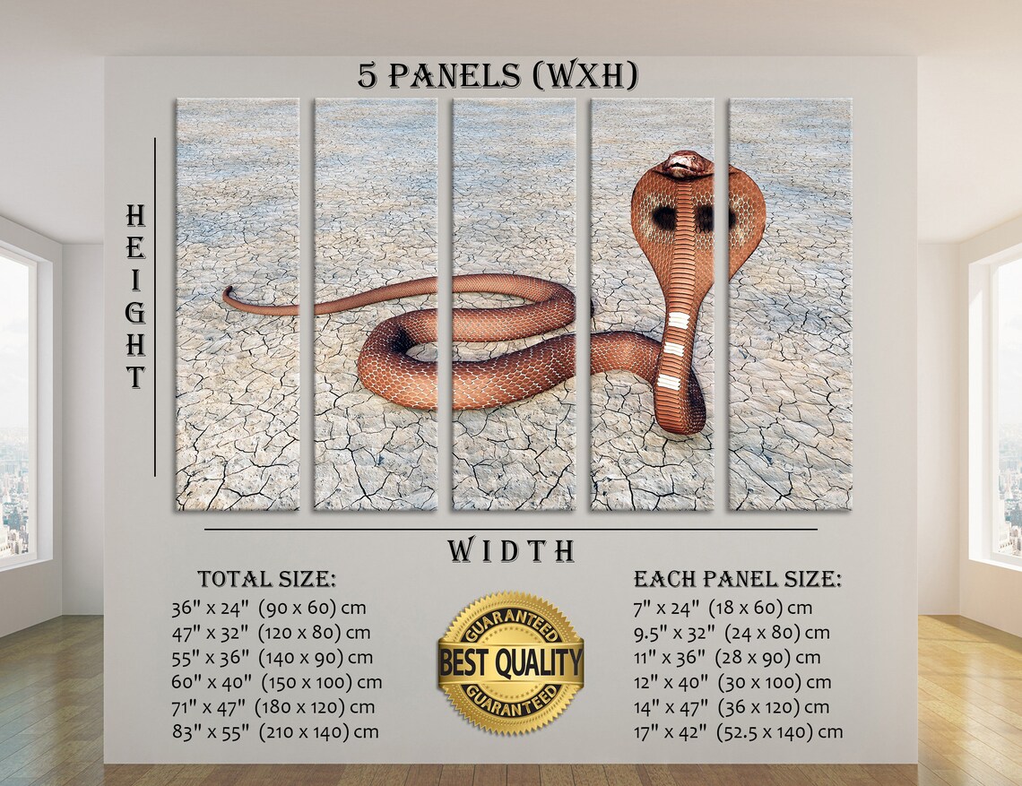 Cobra Snake Wall Art Cobra Snake Wall Decor Nature Wall Art | Etsy
