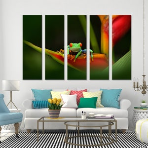 Red-eyed Tree Frog Canvas Exotic Animal Canvas Frog Print Frog - Etsy