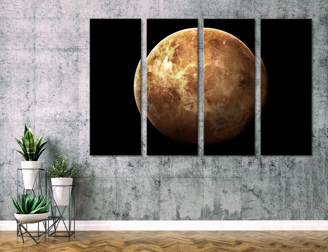 Venus Canvas Venus Decor Venus Home Decor Venus Photo Venus - Etsy