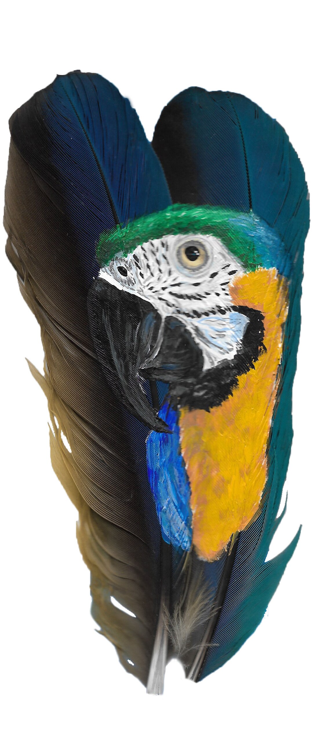 Painted Feather Portrait / Premium Acrylic Pet Portraits / Parrot ...