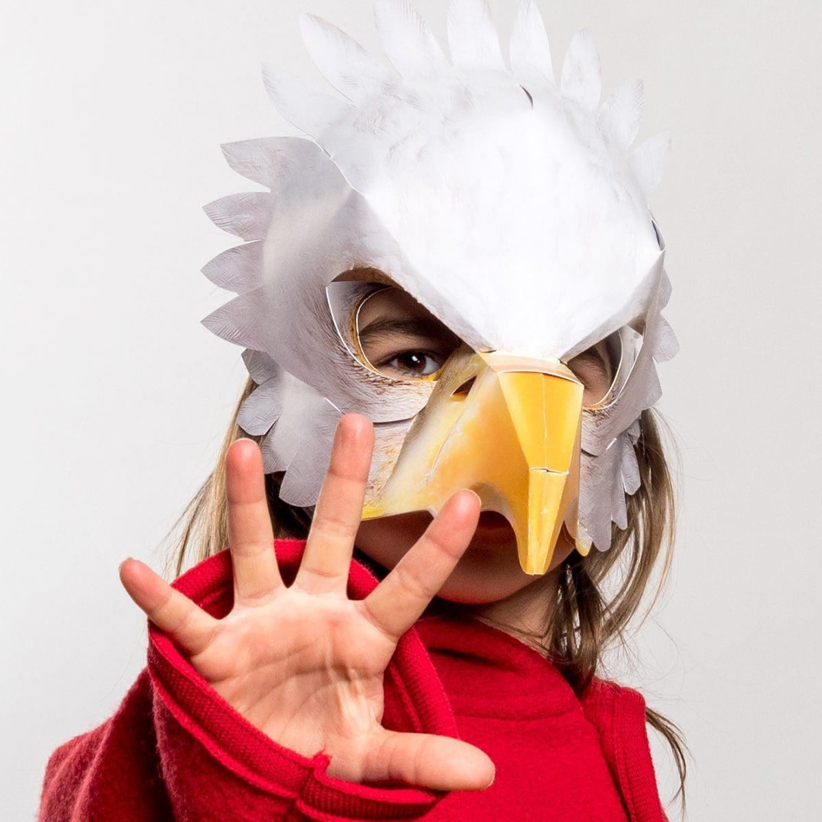 How To Make An Eagle Mask