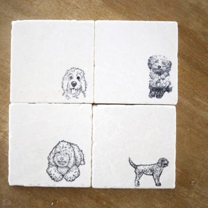 Goldendoodle Coasters, Goldendoodle Mom, Goldendoodle Gift, Labradoodle - Etsy