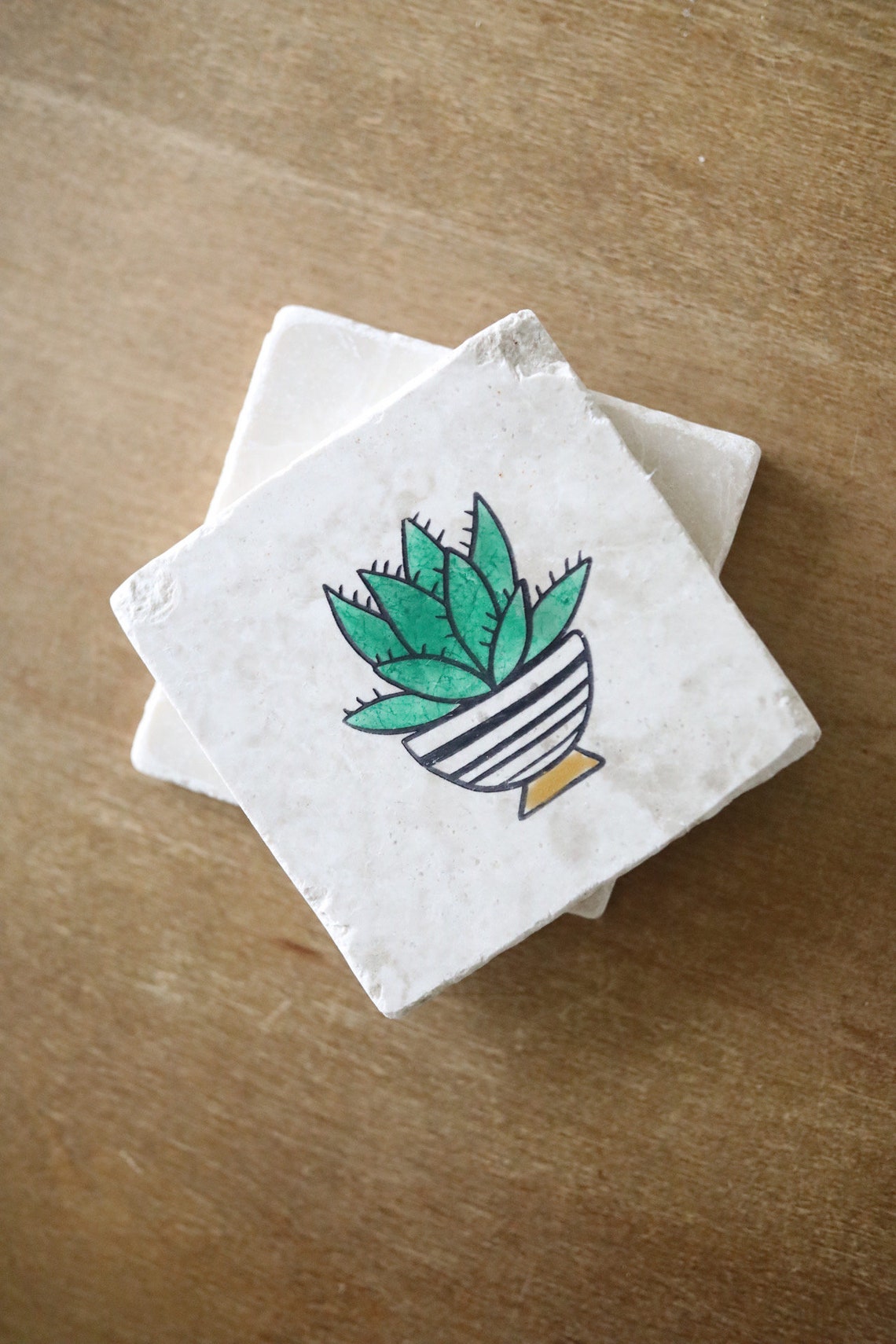 Succulent Marble Coasters Cactus Coasters Succulent Gift - Etsy