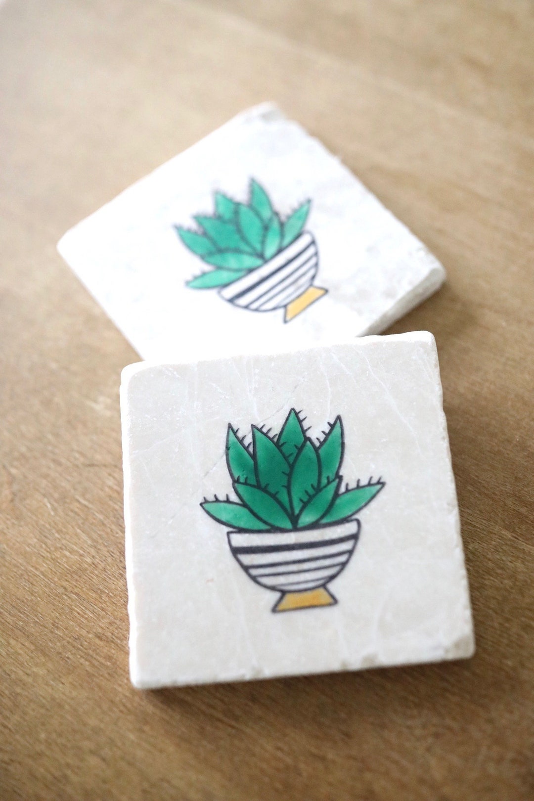 Succulent Marble Coasters Cactus Coasters Succulent Gift - Etsy