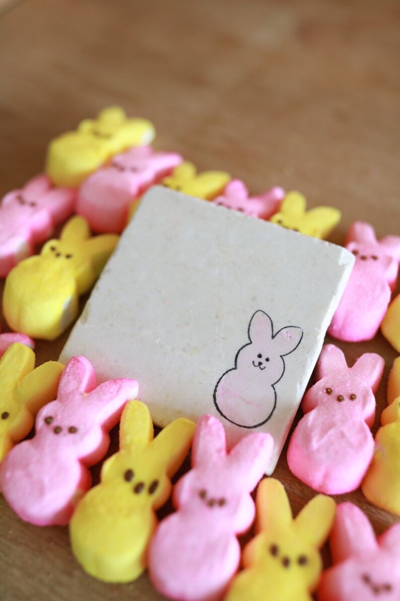 Easter Bunny Marshmallow Marble Coaster Gifts/ Easter Bunny - Etsy