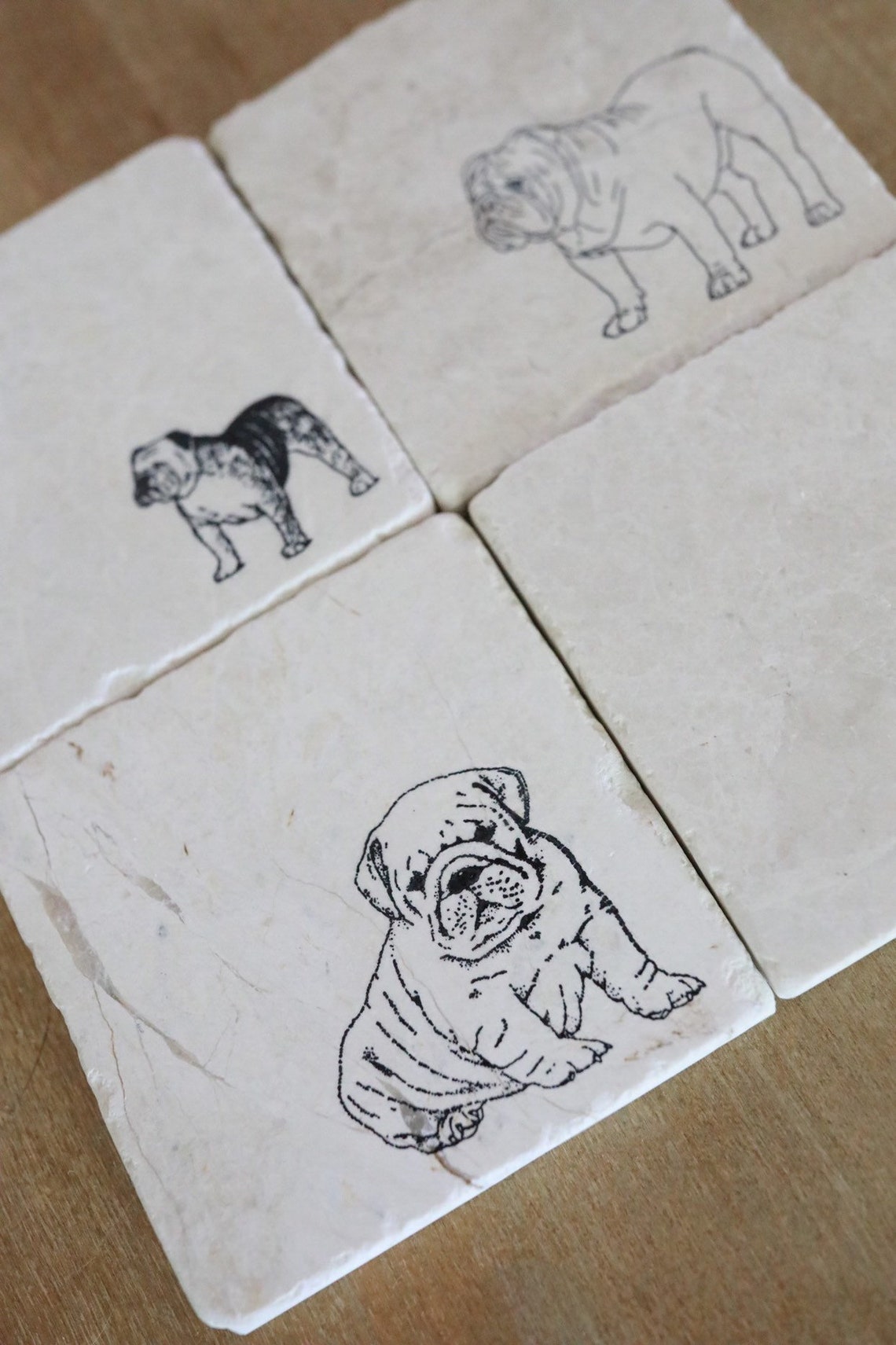 Bulldog Coasters/ English Bulldog Coasters/ Marble Dog - Etsy
