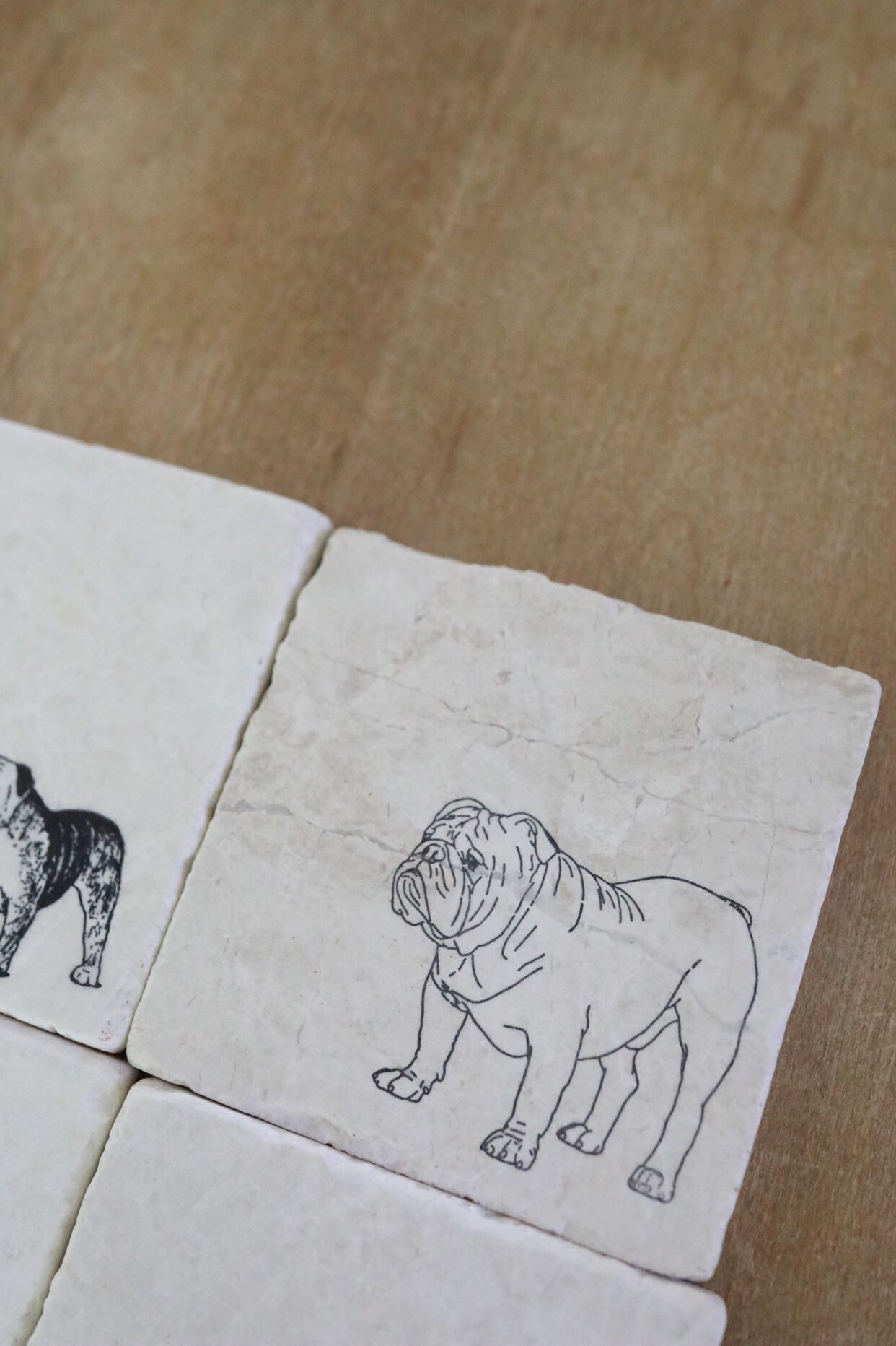 Bulldog Coasters/ English Bulldog Coasters/ Marble Dog Coasters/ Stone ...