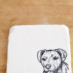 Pitbull Dog Marble Coaster Set/ American Pitbull Terrier/ - Etsy