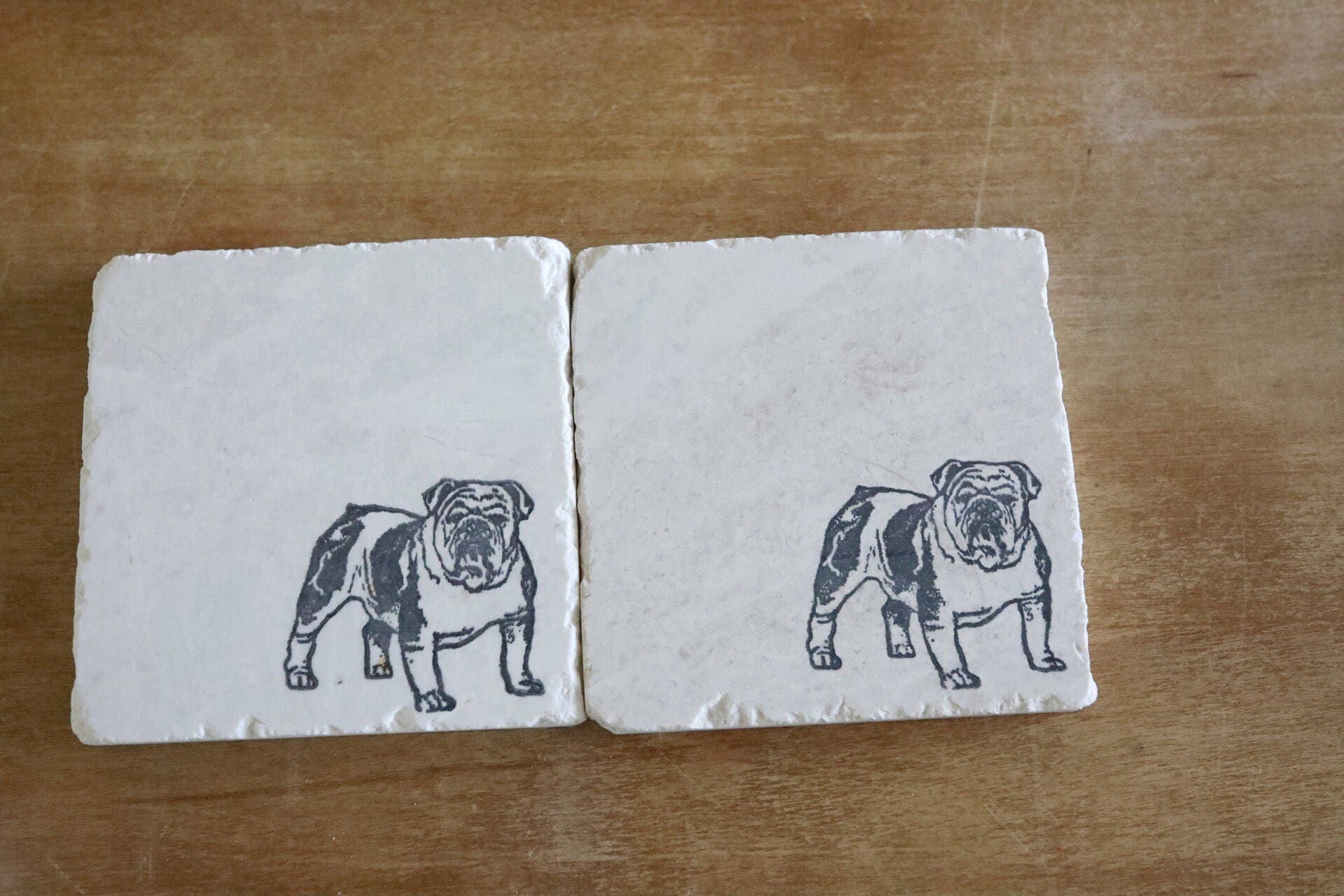 4 Bulldog Dog Marble Coasters/ English Bulldog Gifts/ Bulldog - Etsy