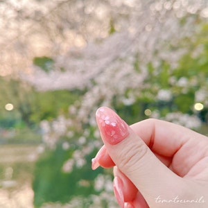Blooming Cherry Blossom, Flower 3D Nails, Clear Gel Nails, Flower Petal ...