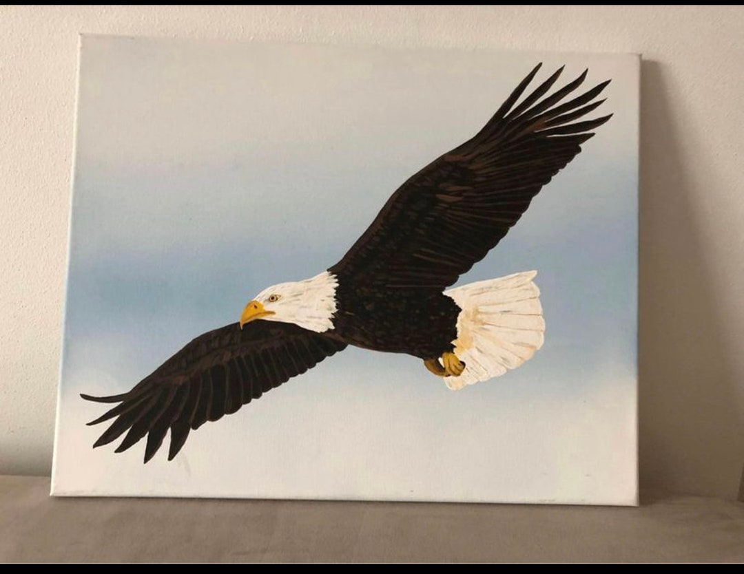 16 X 20 Acrylic Painting - Bald Eagle in Flight - Etsy