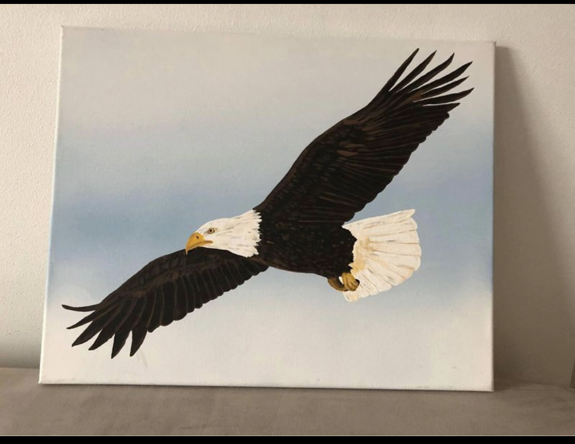 16 X 20 Acrylic Painting Bald Eagle In Flight Etsy 16 X 20 Acrylic Painting Bald Eagle In Flight Etsy