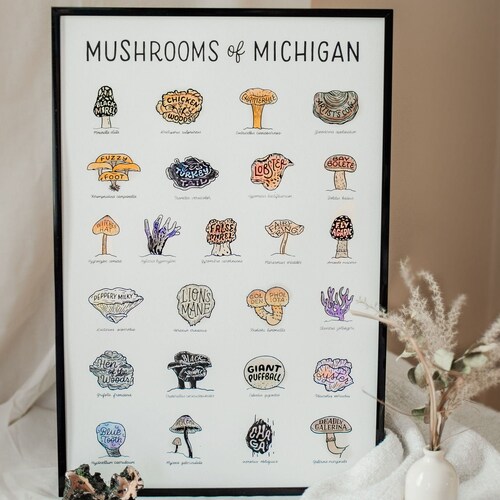 Fish of Michigan Wall Art Print Flyfishing Gift - Etsy