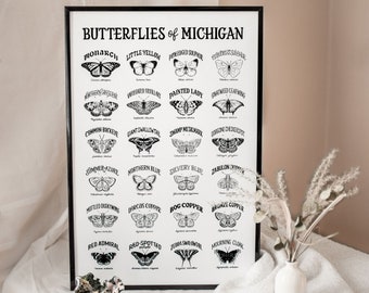 Vintage Butterflies Chart Poster Art Deco Vintage Print - Etsy
