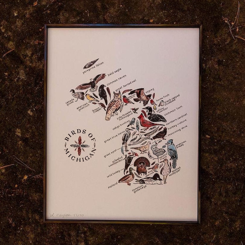 Bird Prints Michigan Birds - Etsy