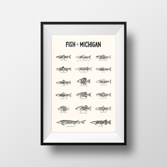 Fish of Michigan Wall Art Print Flyfishing Gift | Etsy