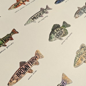 Fish of Michigan Watercolor Art Print - Etsy