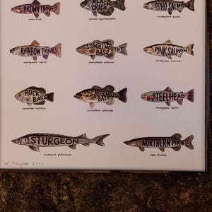 Fish of Michigan Watercolor Art Print - Etsy