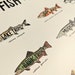 Fish of Michigan Watercolor Art Print - Etsy