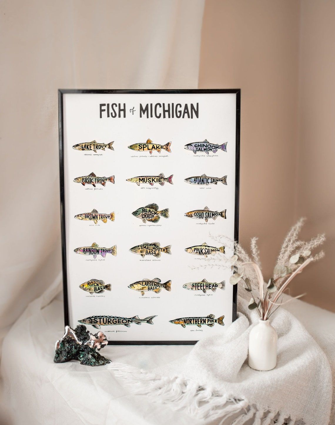 Fish of Michigan Watercolor Art Print - Etsy