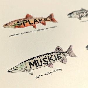 Fish of Michigan Watercolor Art Print - Etsy