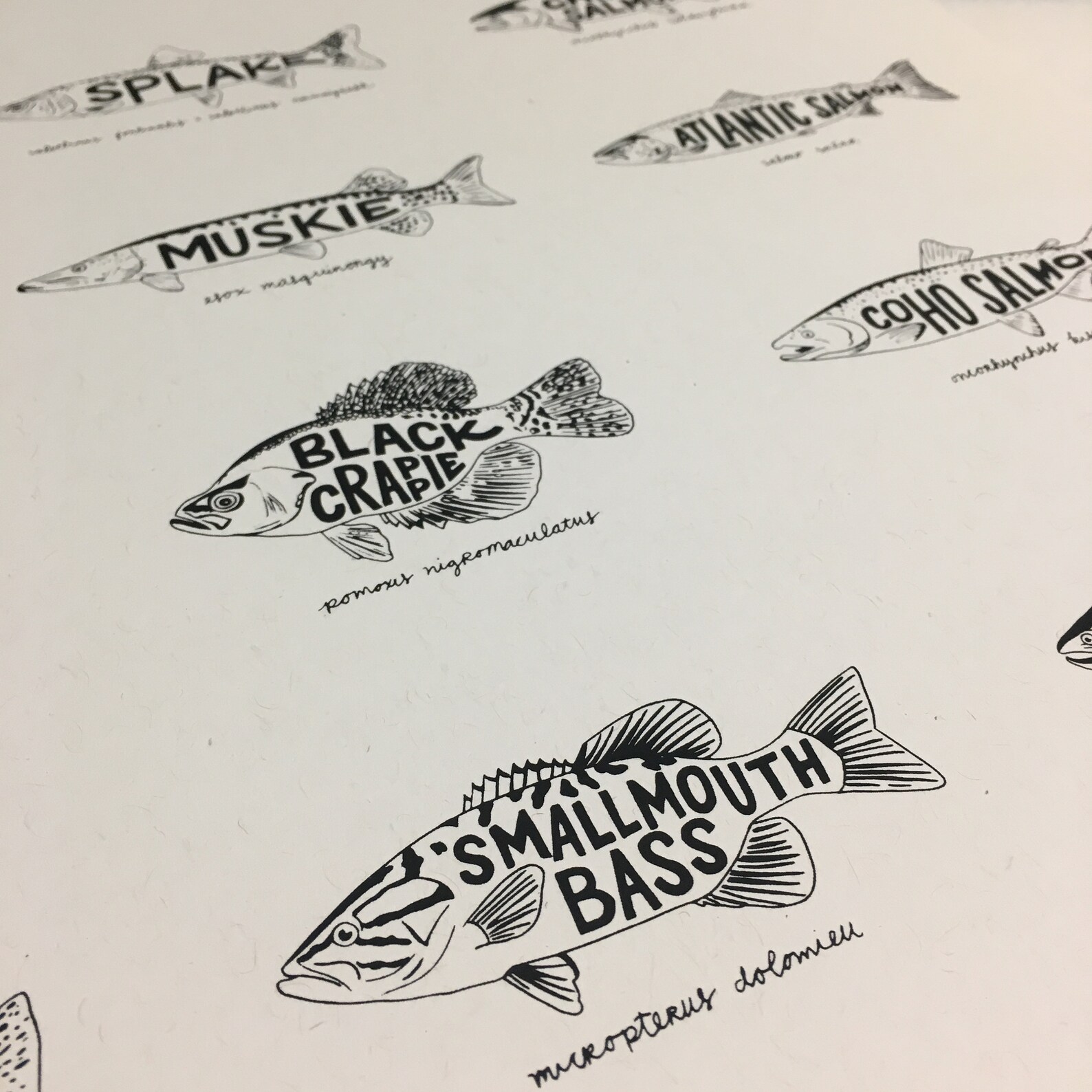 Fish of Michigan Wall Art Print Flyfishing Gift - Etsy